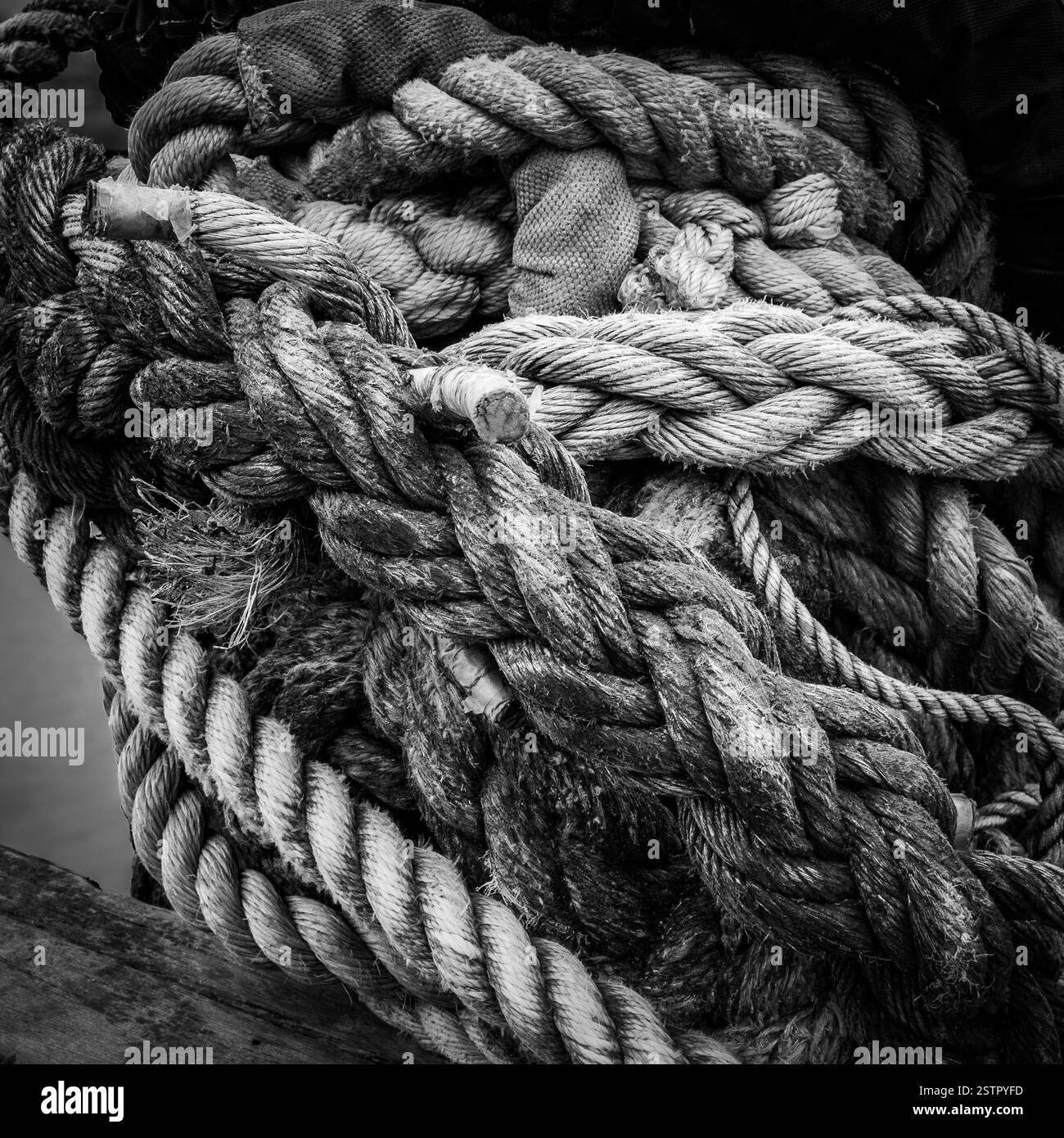 Intertwined rope hi-res stock photography and images - Alamy
