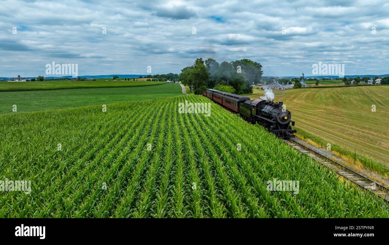 A steam locomotive speeds along railway tracks lined by vibrant green ...