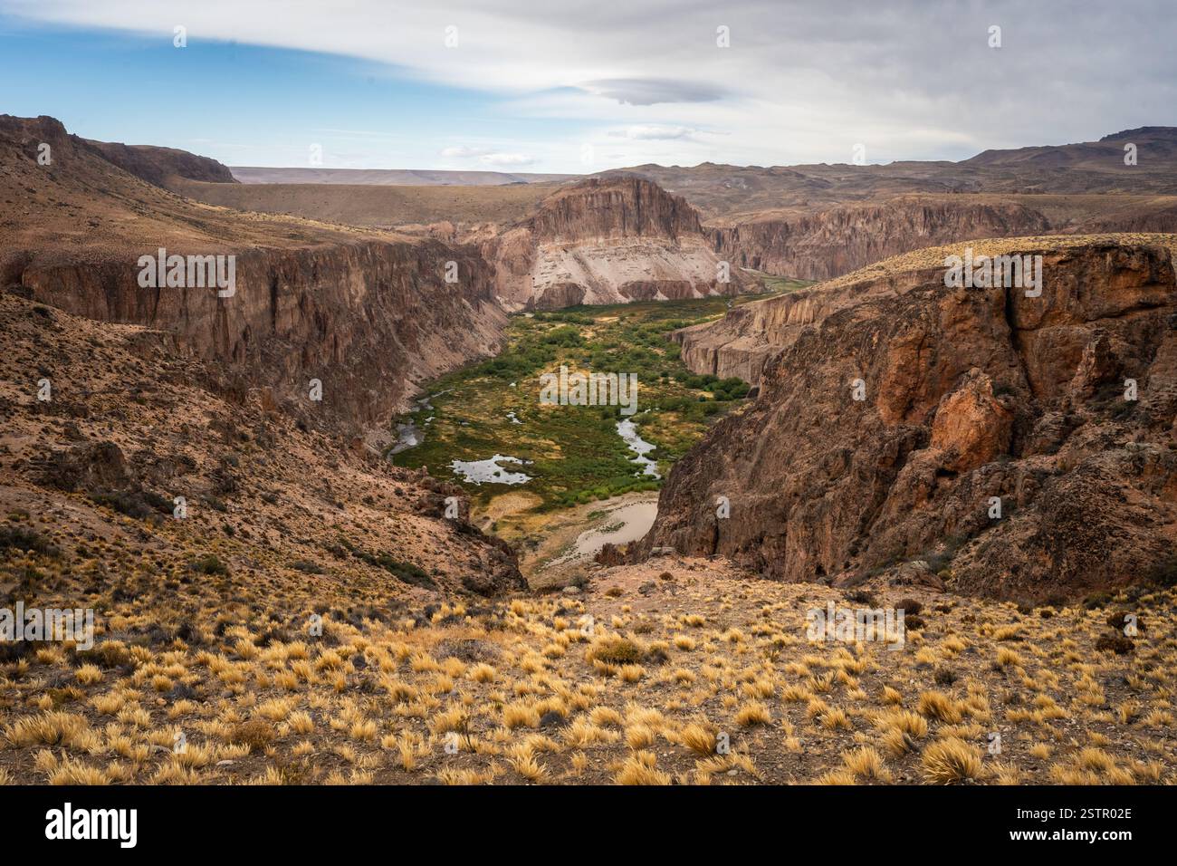 The Pinturas Canyon in Patagonia Park in southern Patagonia Stock Photo ...