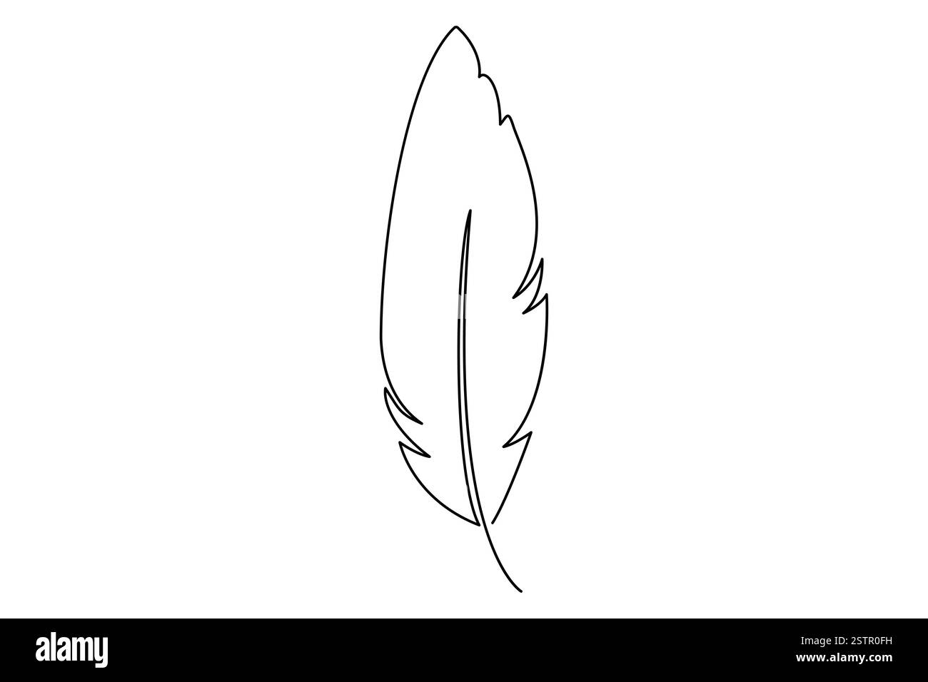 Continuous one line drawing of Bird feather Isolated on white ...
