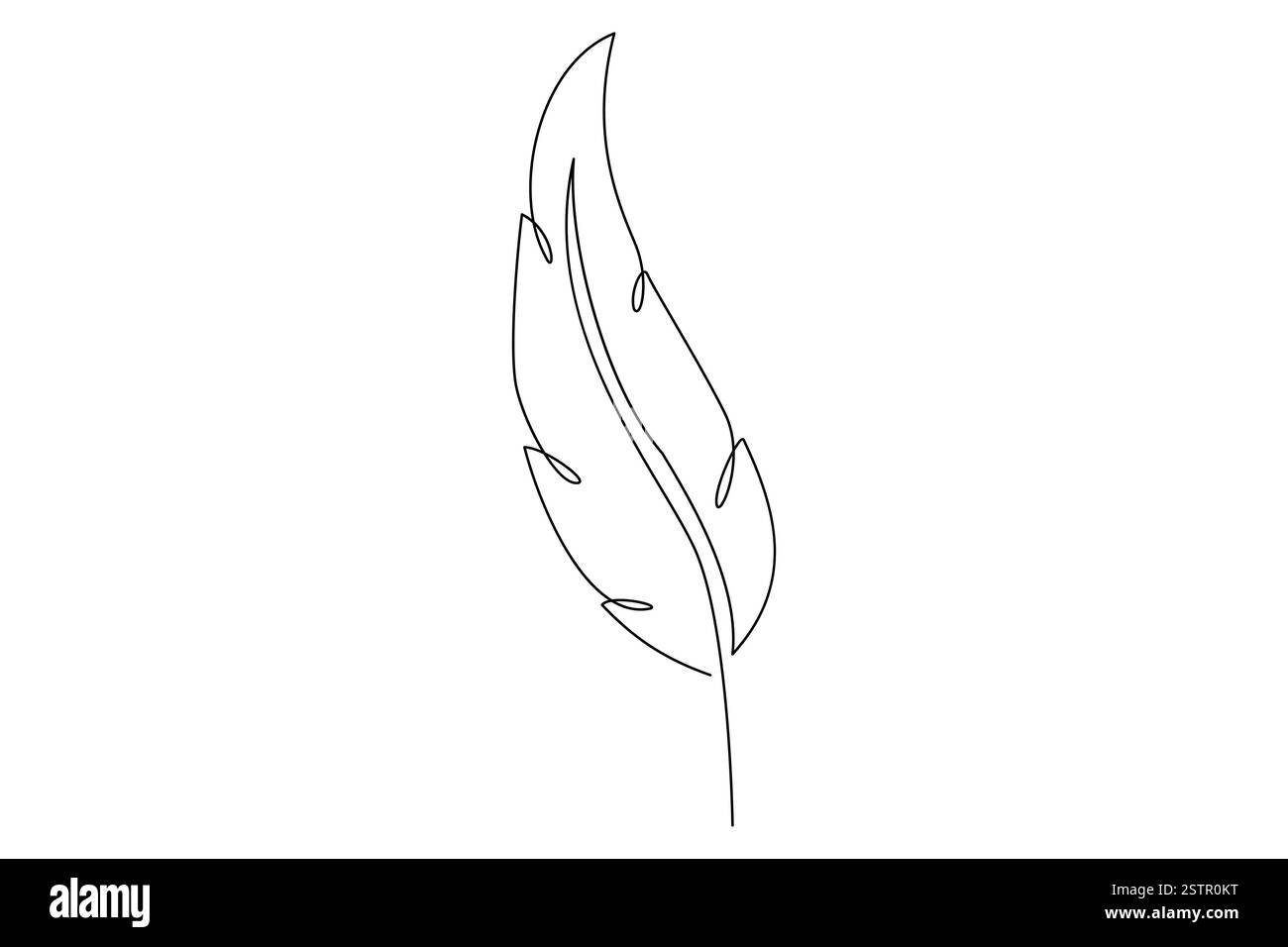 Continuous one line drawing of Bird feather Isolated on white ...
