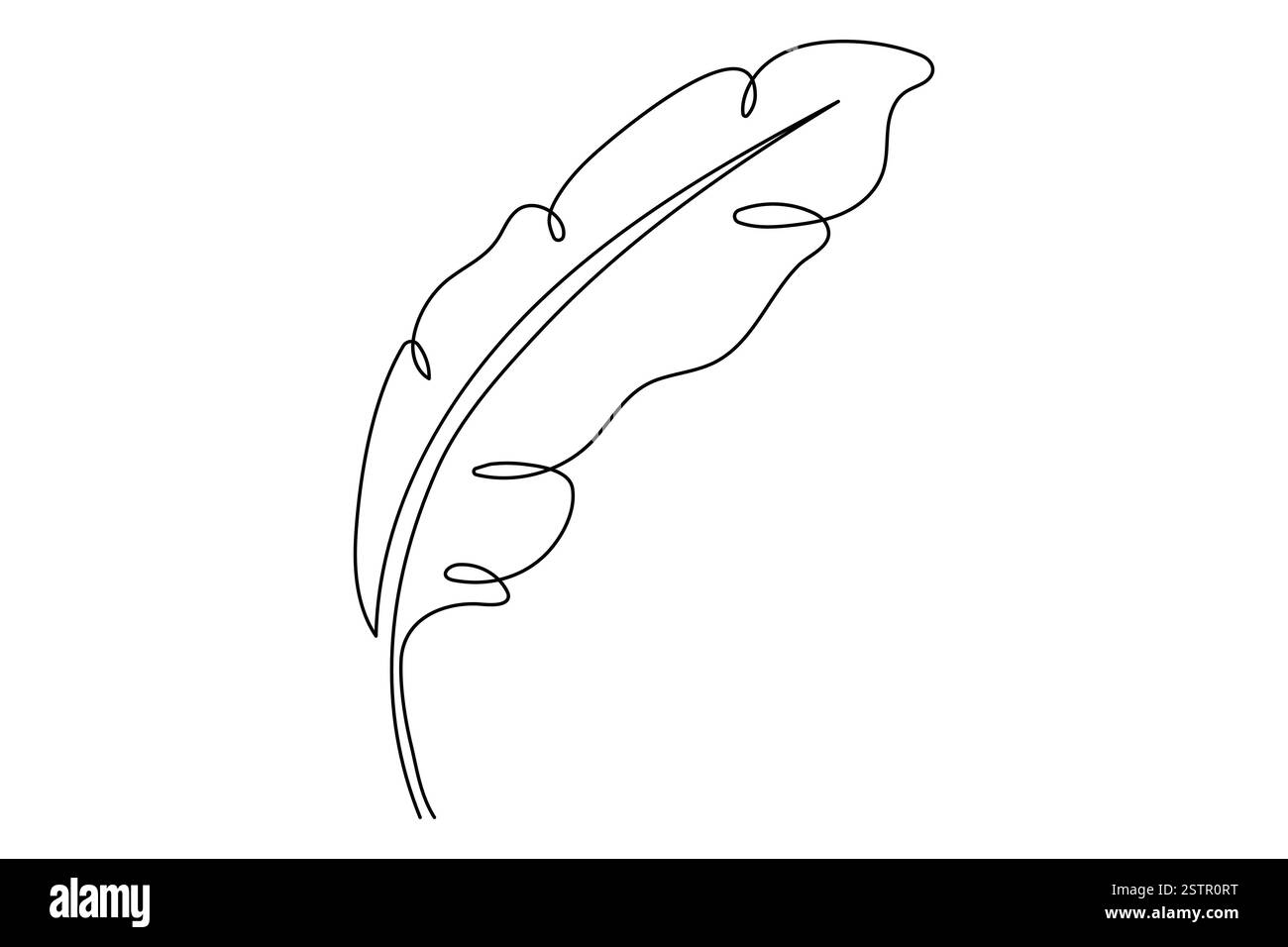 Continuous one line drawing of Bird feather Isolated on white ...