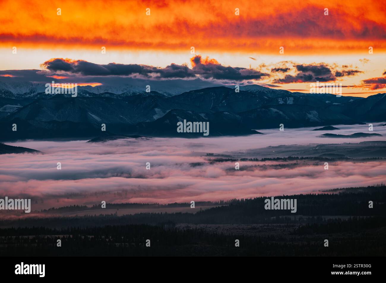 A Golden Farewell from the Sun as the Frozen Landscape Succumbs to the ...