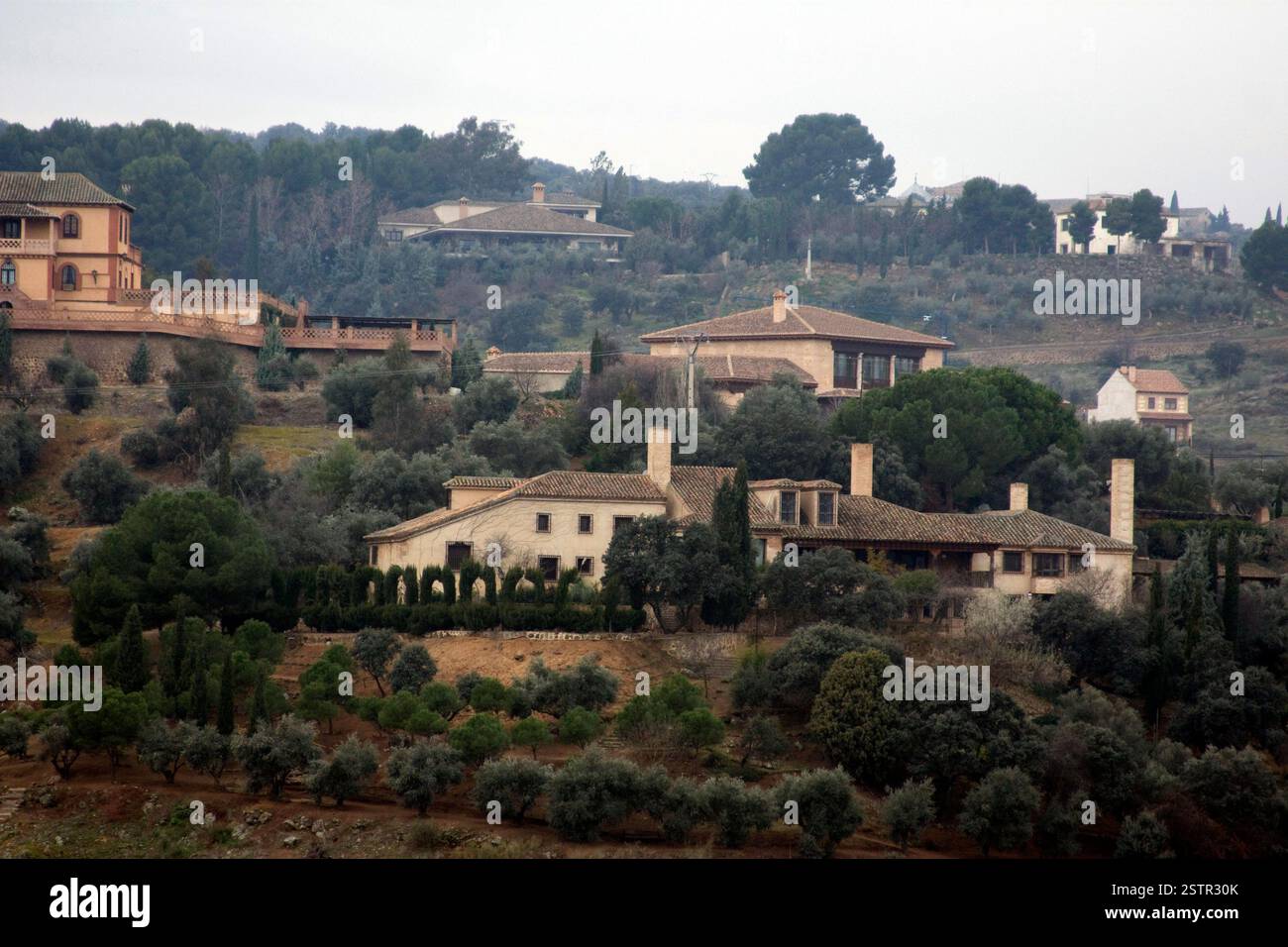 Houses on a hillside among trees. Rural landscape, traditional ...