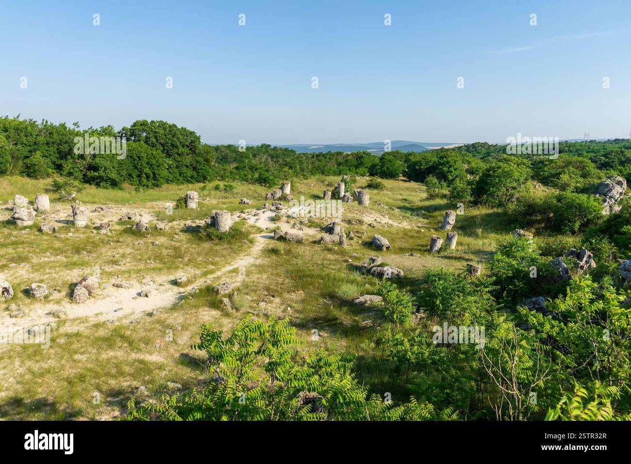 Forest stone formation pobiti kamani hi-res stock photography and ...