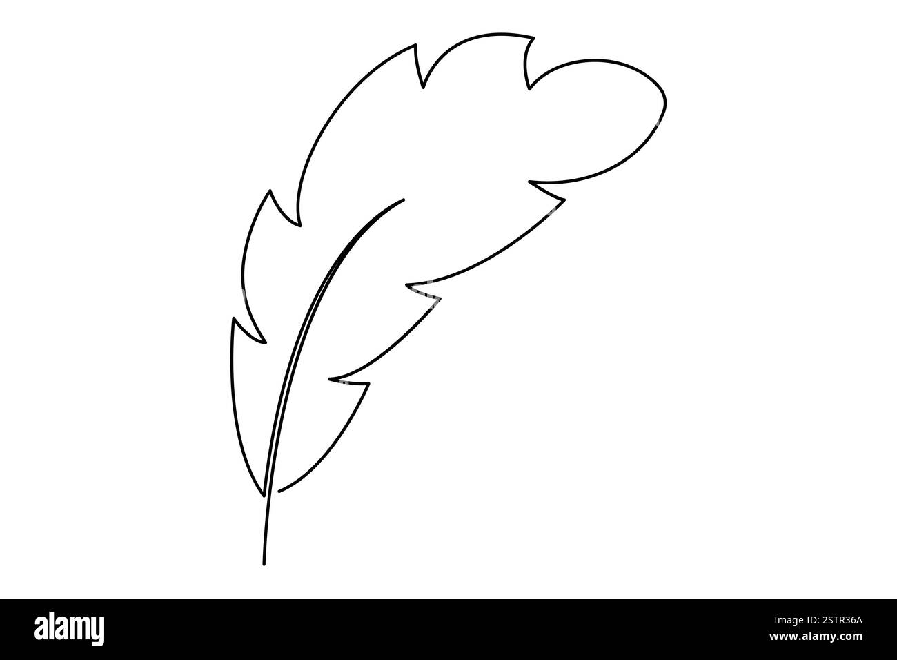 Continuous one line drawing of Bird feather Isolated on white ...