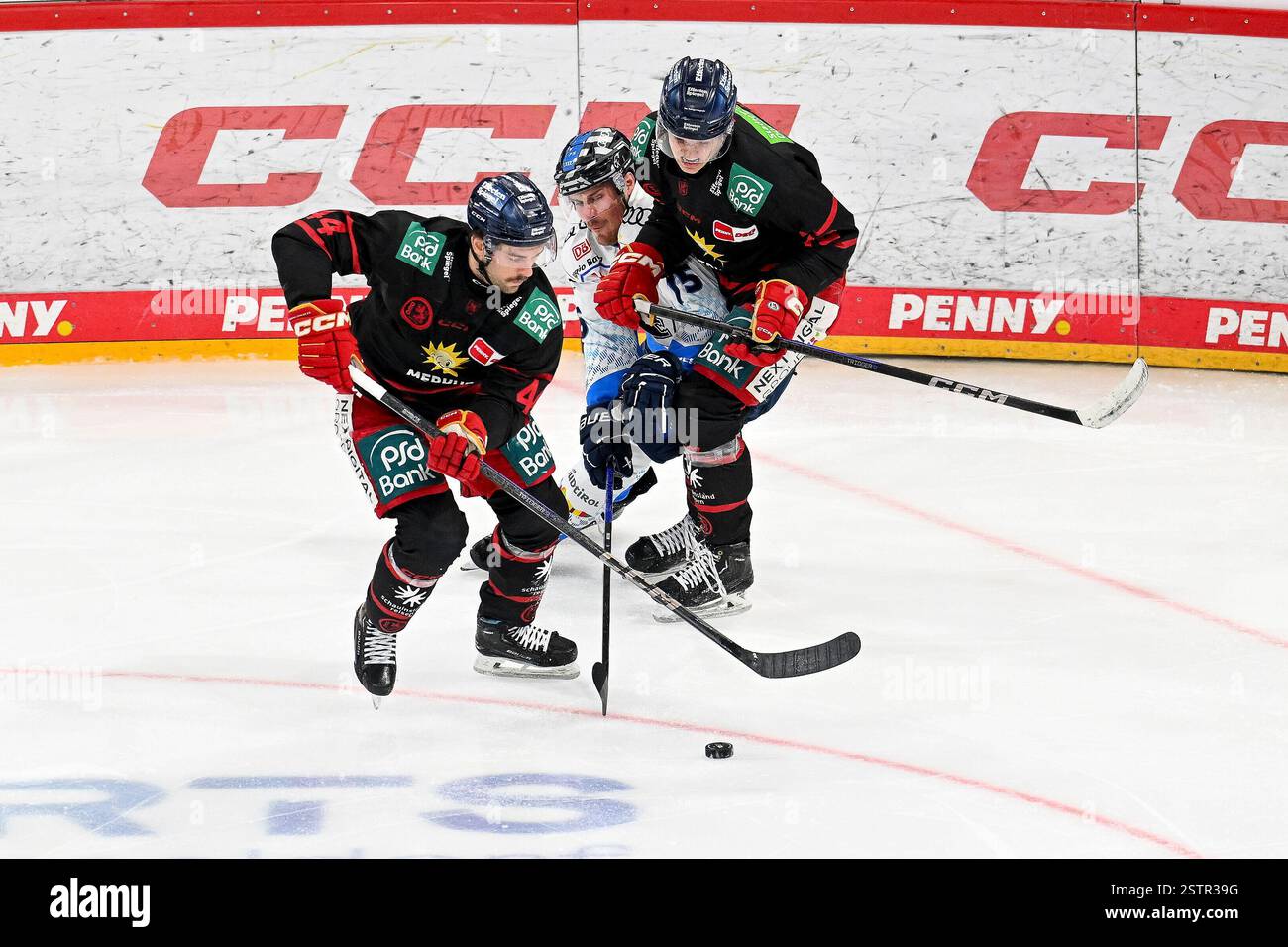 Eishockey DEL - 24/25 - 46.Spieltag: Düsseldorfer EG vs ERC Ingolstadt ...