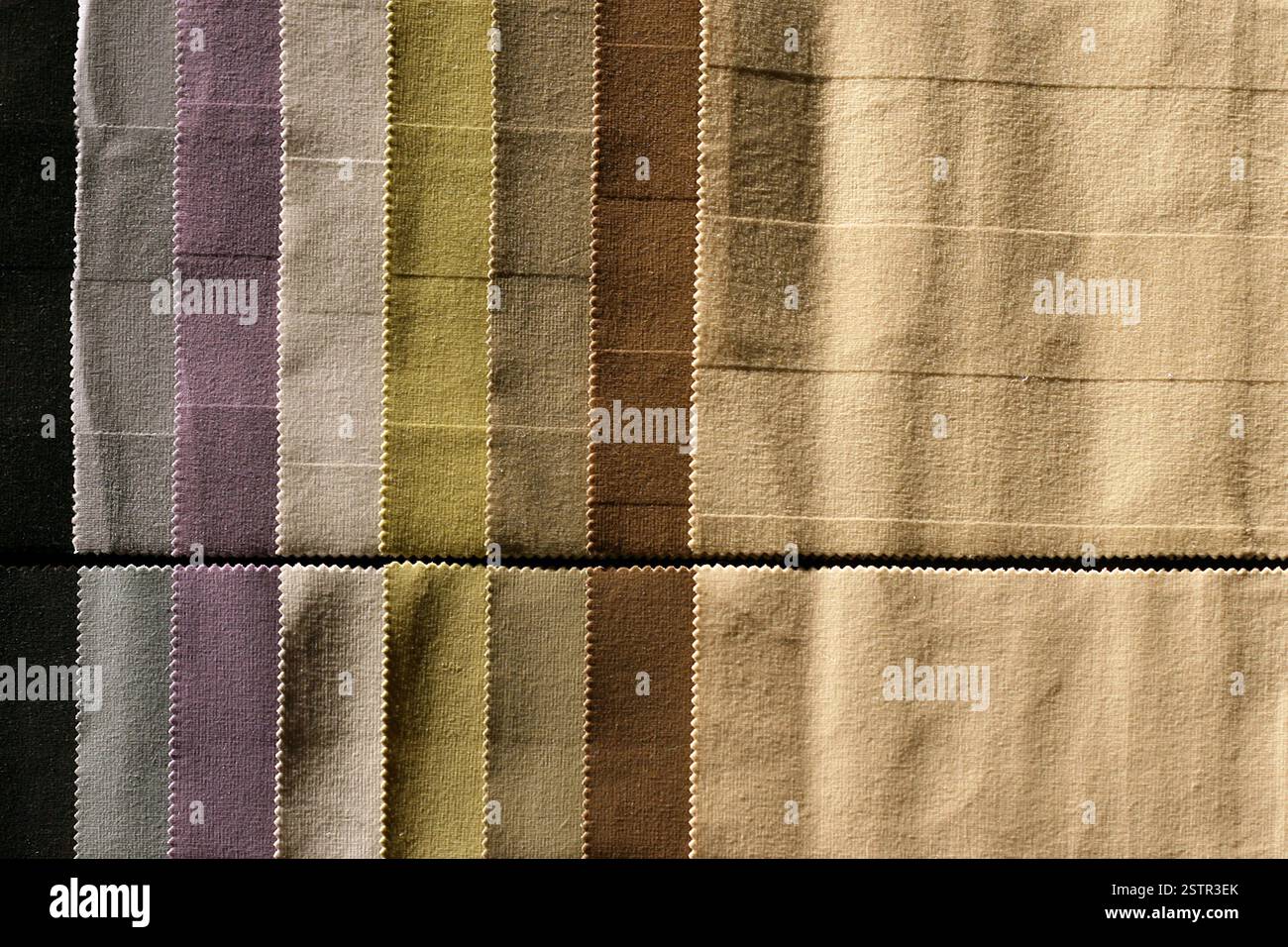Color palette sample picker of textile fabrics Stock Photo - Alamy