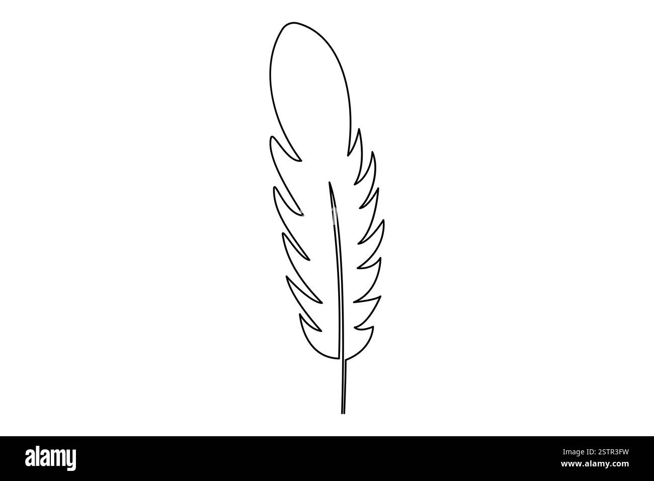 Continuous one line drawing of Bird feather Isolated on white ...