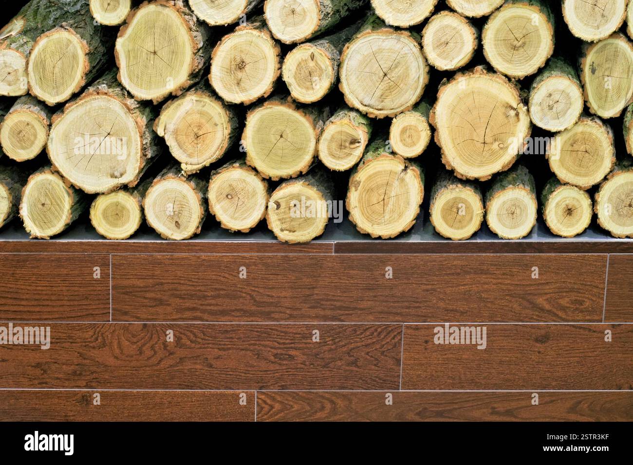 Log cabin interior log fire hi-res stock photography and images - Alamy