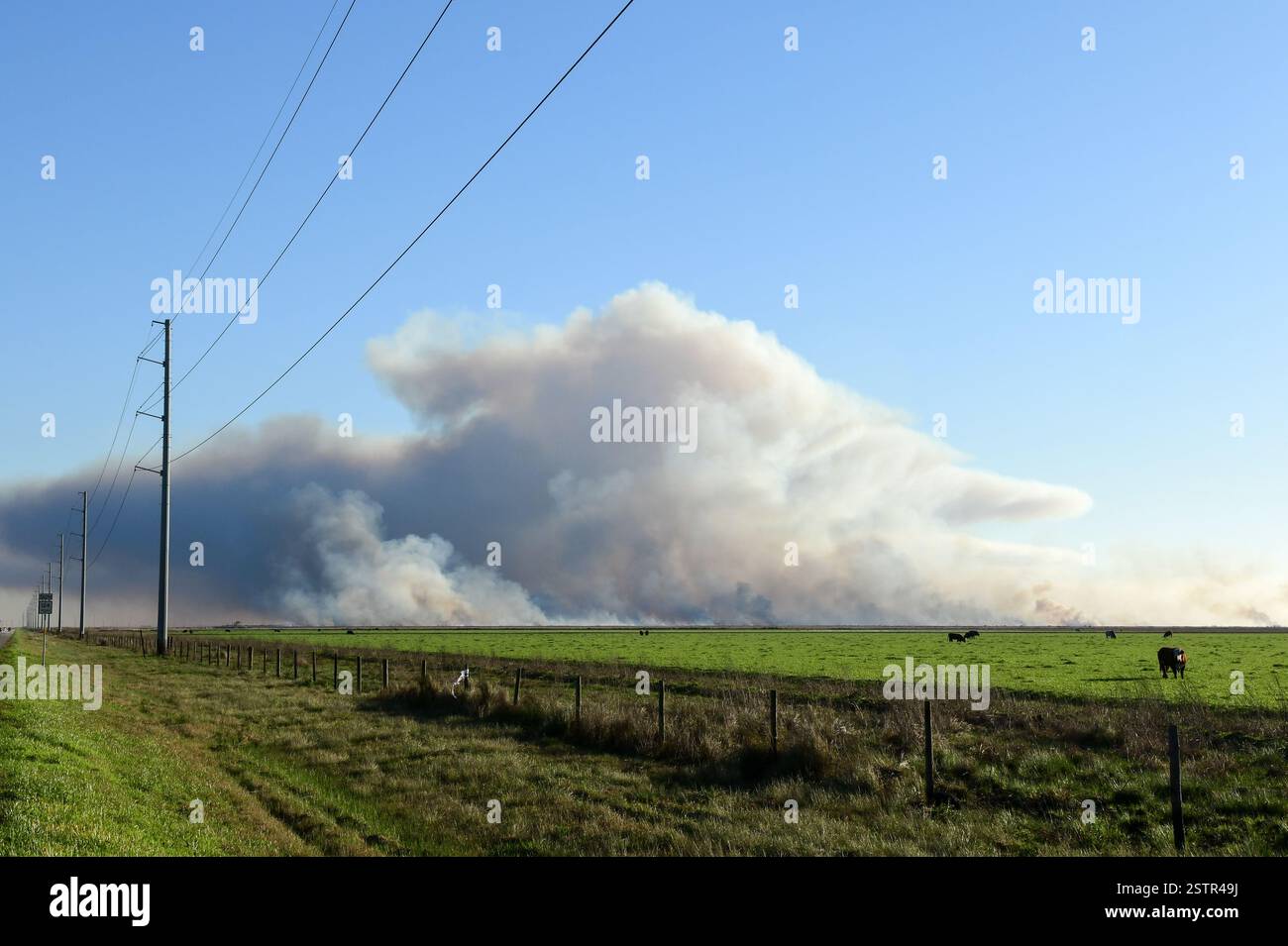 Middleton wildfire near Stowell in Texas Stock Photo - Alamy