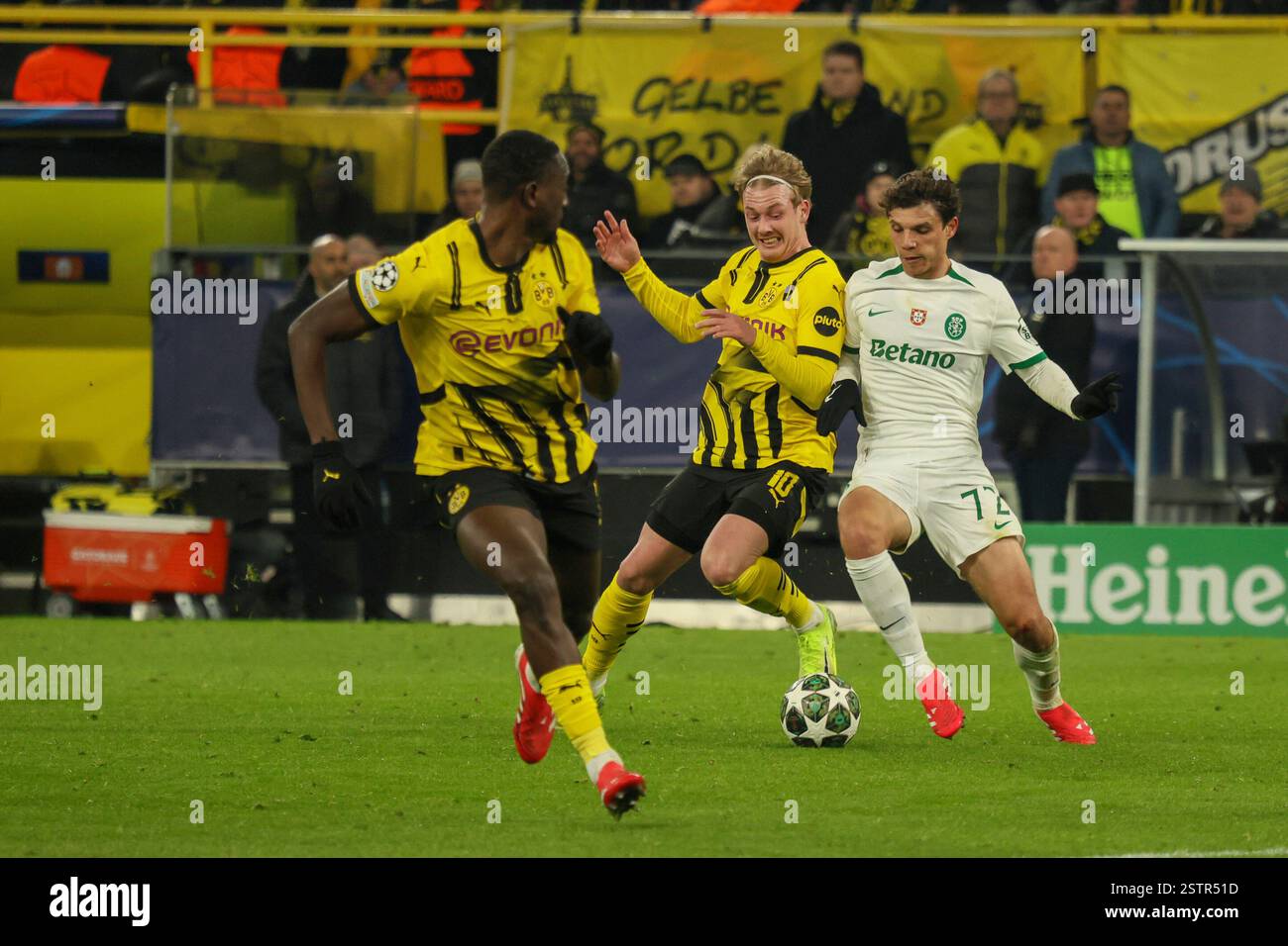 Dortmund, Deutschland. 19th Feb, 2025. Dortmund, Deutschland 19. Februar 2025: Champions League ...