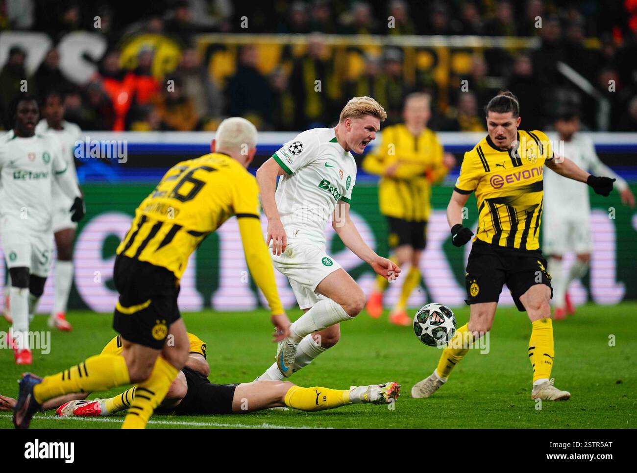 Signal Luna Park, Dortmund, Germany. 19th Feb, 2025. Conrad Harder of Sporting CP controls the ...