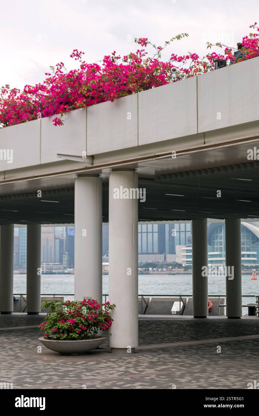 Platform columns hi-res stock photography and images - Alamy