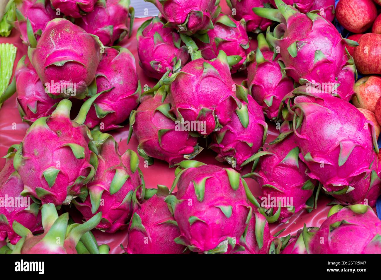 Big bunch of pink pitaya dragon fruits hi-res stock photography and ...