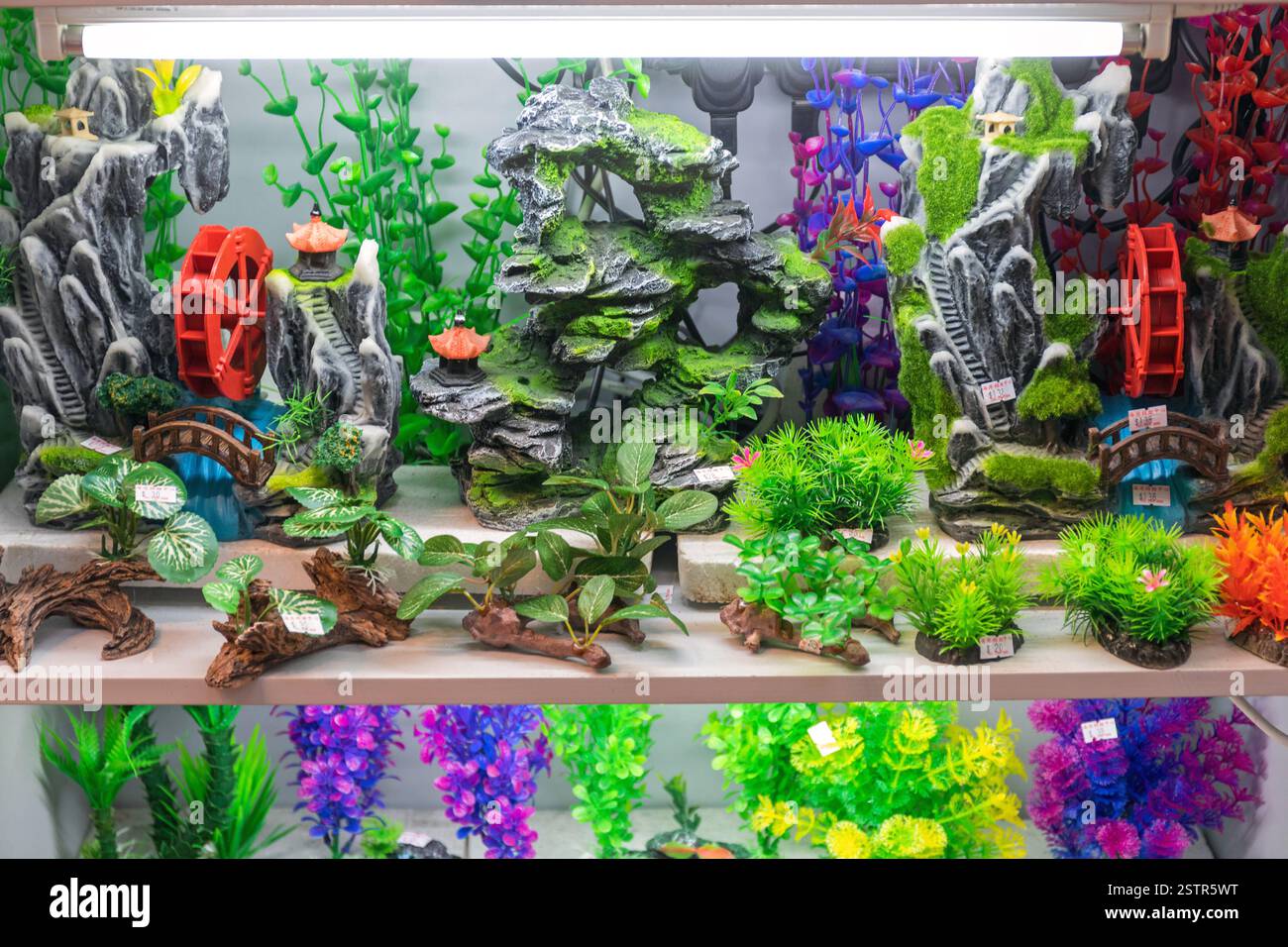 Tank decoration hi-res stock photography and images - Alamy