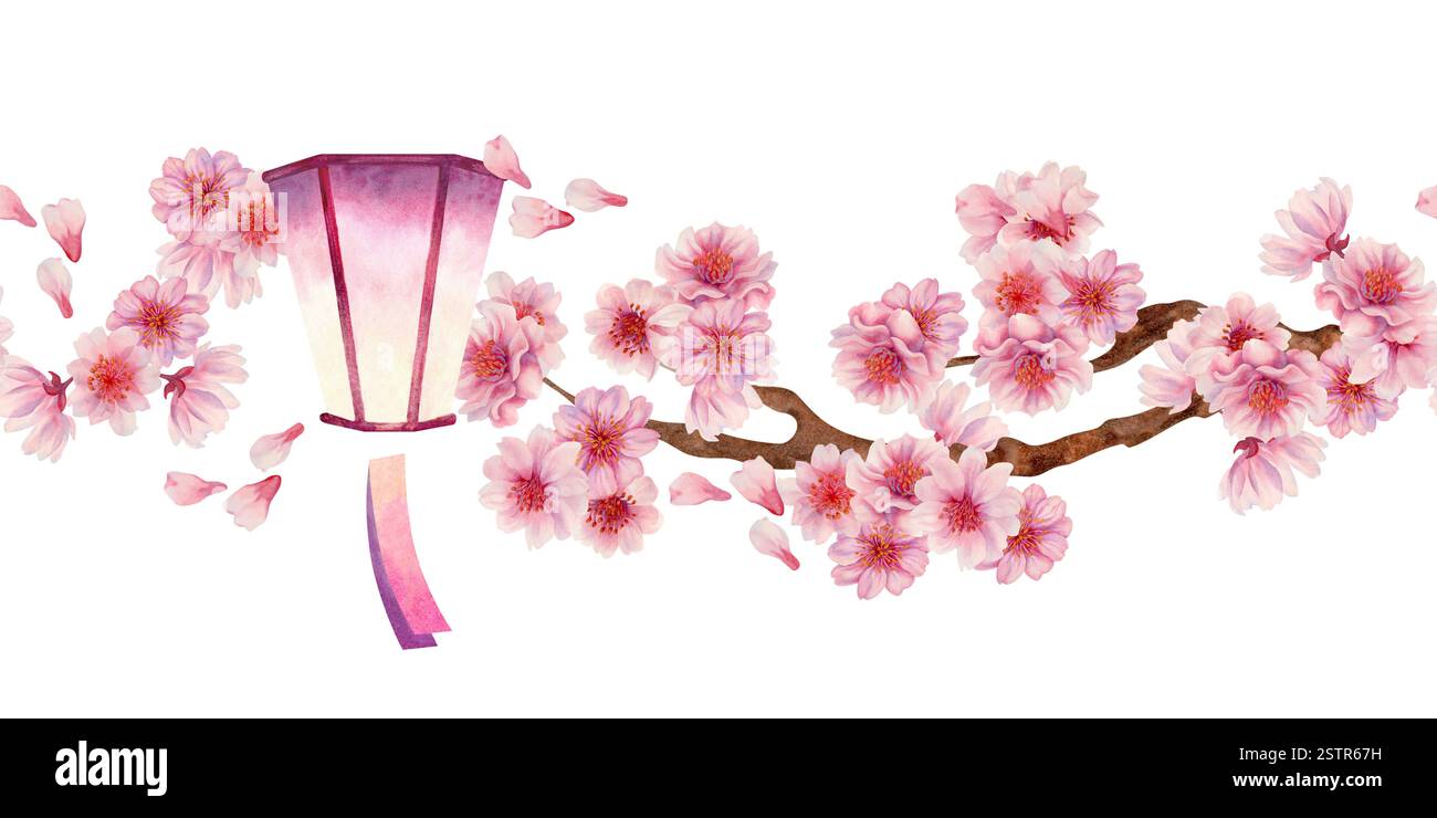 Lantern with branches and sakura flowers isolated on a white background ...
