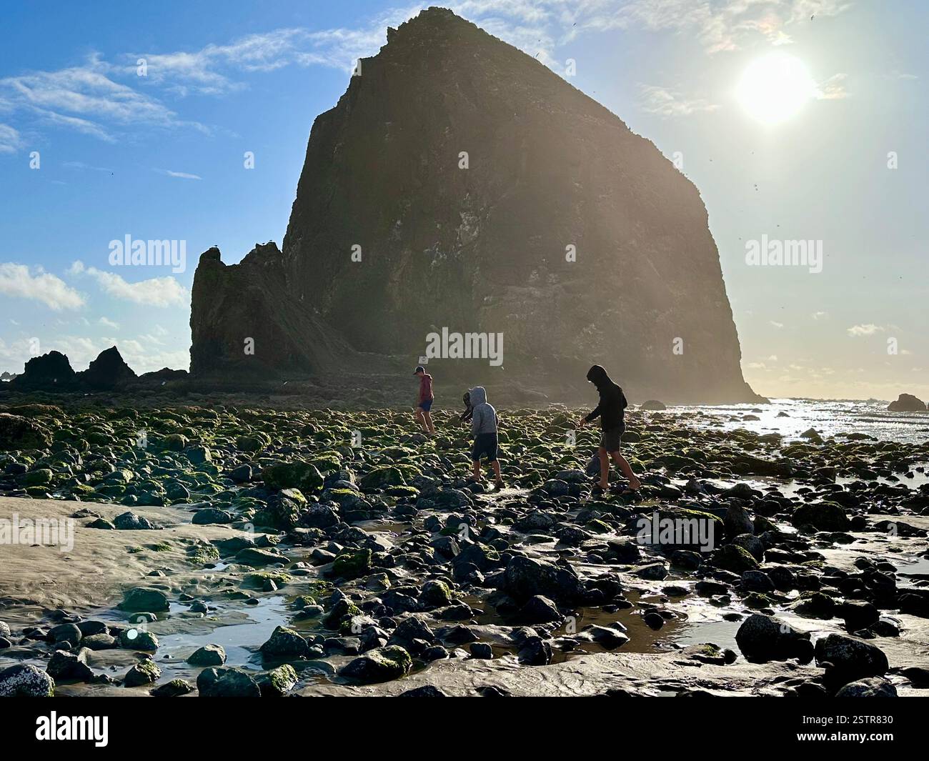 People Exploring Rocky Cannon Beach Near a Majestic Sea Stack called ...
