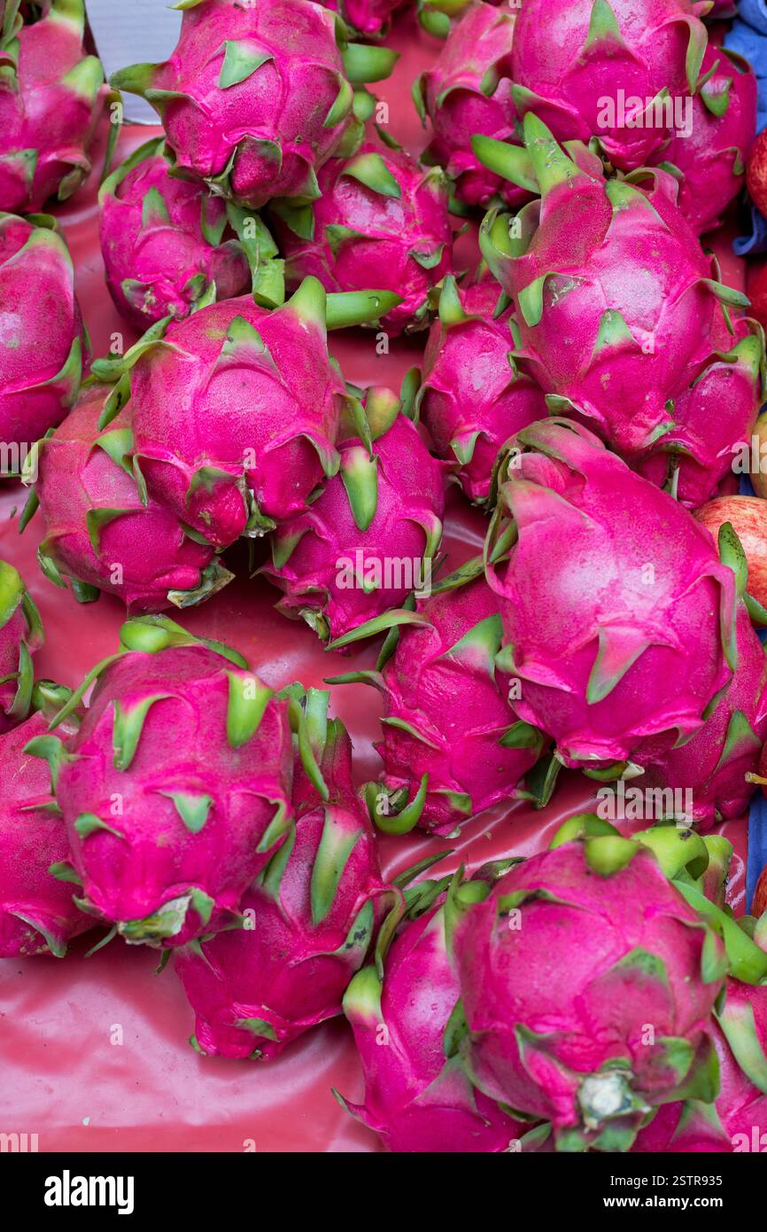 Big bunch of pink pitaya dragon fruits hi-res stock photography and ...