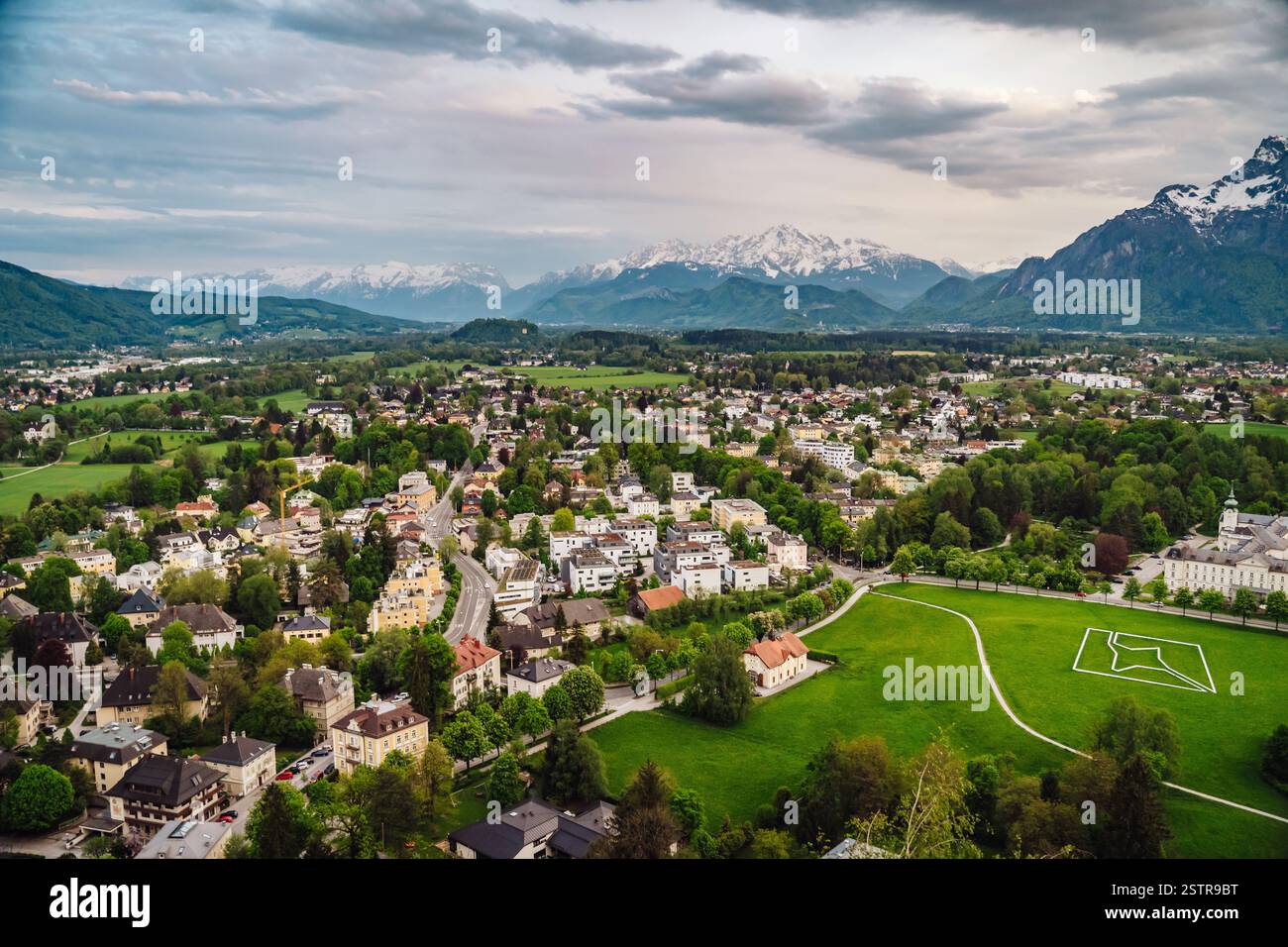 Aerial top view on pine hi-res stock photography and images - Alamy