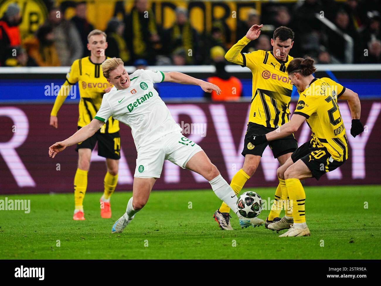 Dortmund, Germany. 19th Feb, 2025. February 19 2025: Conrad Harder of Sporting CP and Marcel ...