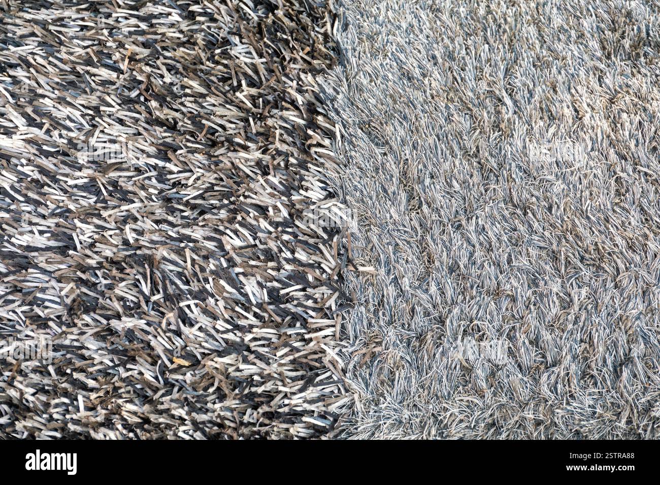Modern carpets hi-res stock photography and images - Alamy