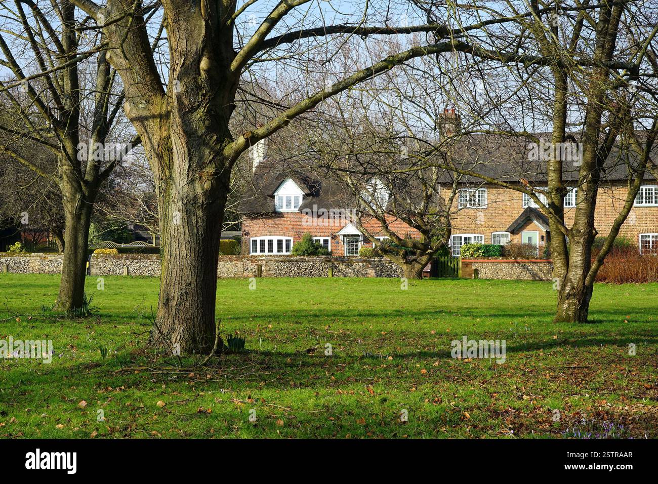 The period of hatching hi-res stock photography and images - Alamy