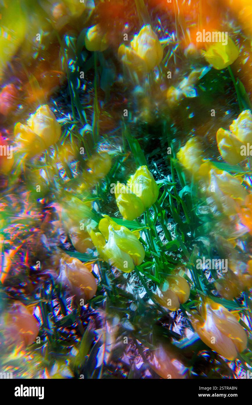 Surreal light effects hi-res stock photography and images - Alamy