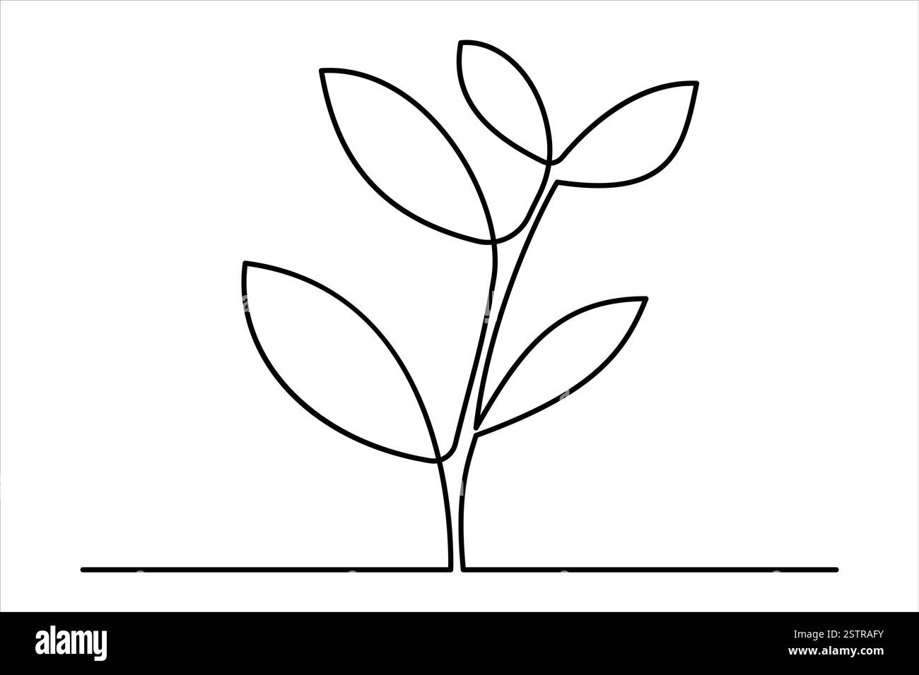 Continuous one line drawing of plant growth processing from seed ...