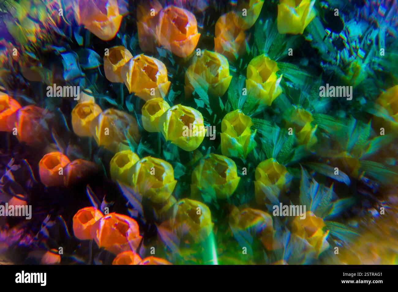 Vibrant visual effects hi-res stock photography and images - Alamy