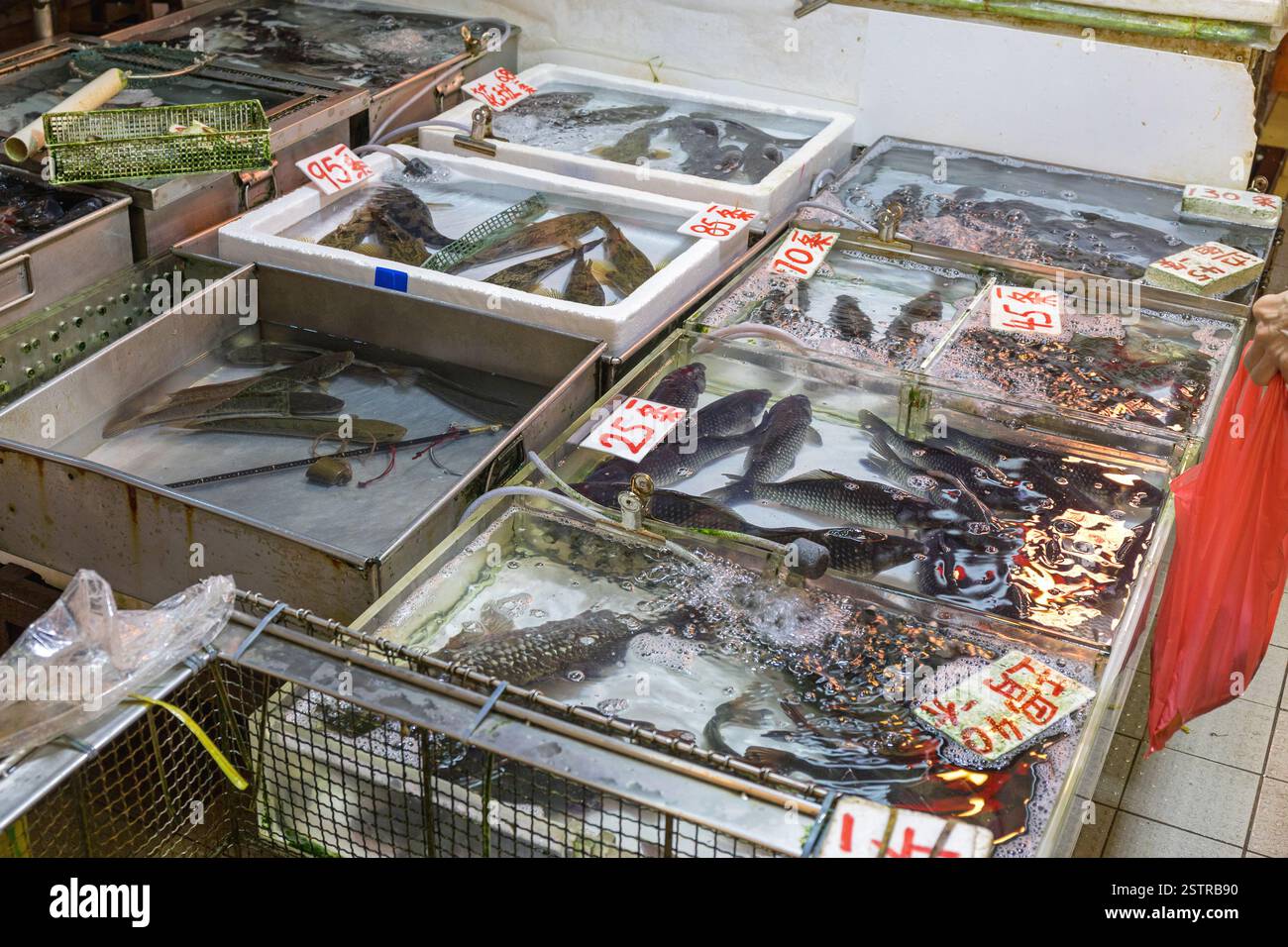 Live Fish Market Stock Photo - Alamy