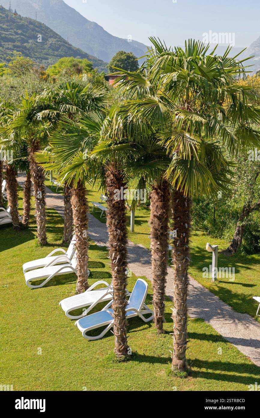 Trees garden hi-res stock photography and images - Alamy