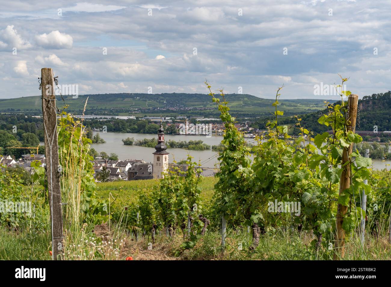 View of Rudesheim am Rhein historical town center with clock tower ...