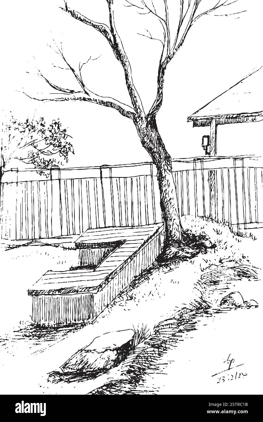 Trees in the garden. Black and white hand drawing with pen and ink ...