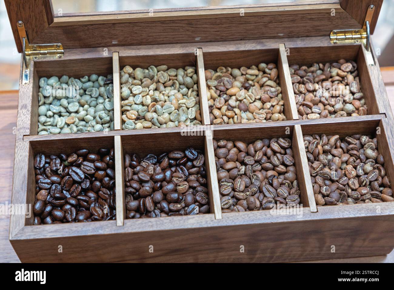 Arabica robusta coffee variety hi-res stock photography and images - Alamy