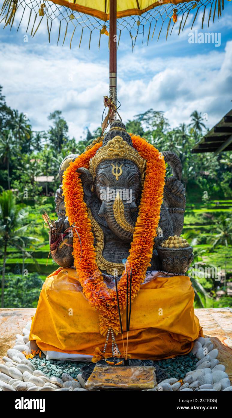 Ganesh statue at Tagalalang Rice Terrace in Bali, Indonesia Stock Photo ...