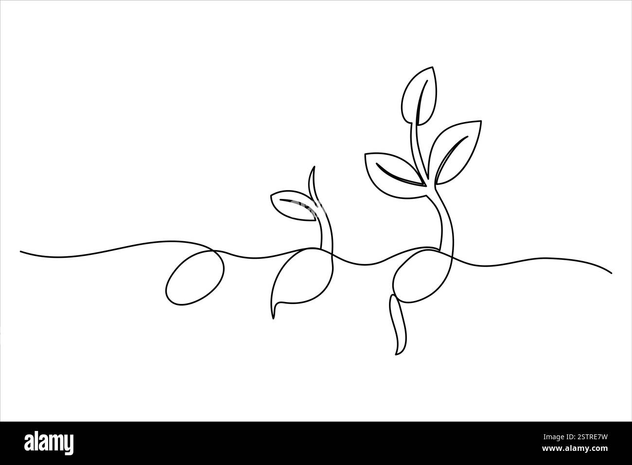 Continuous one line drawing of plant growth processing from seed ...