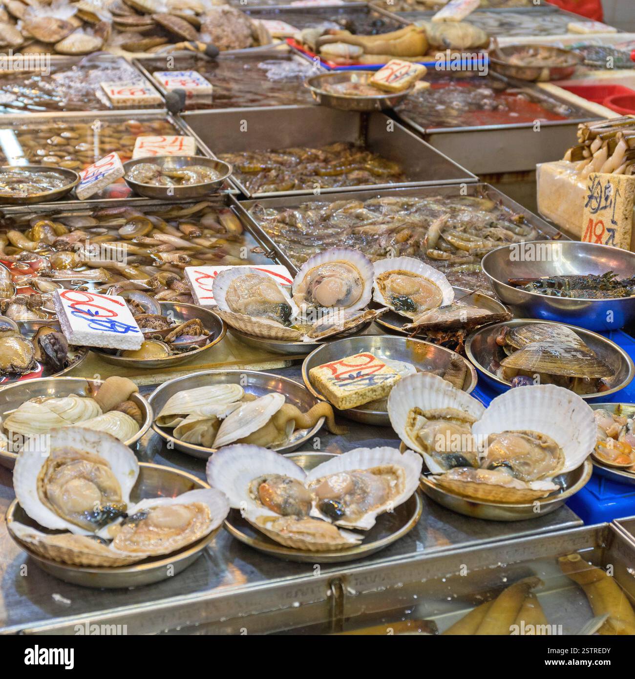 Live seafood market stall hi-res stock photography and images - Alamy