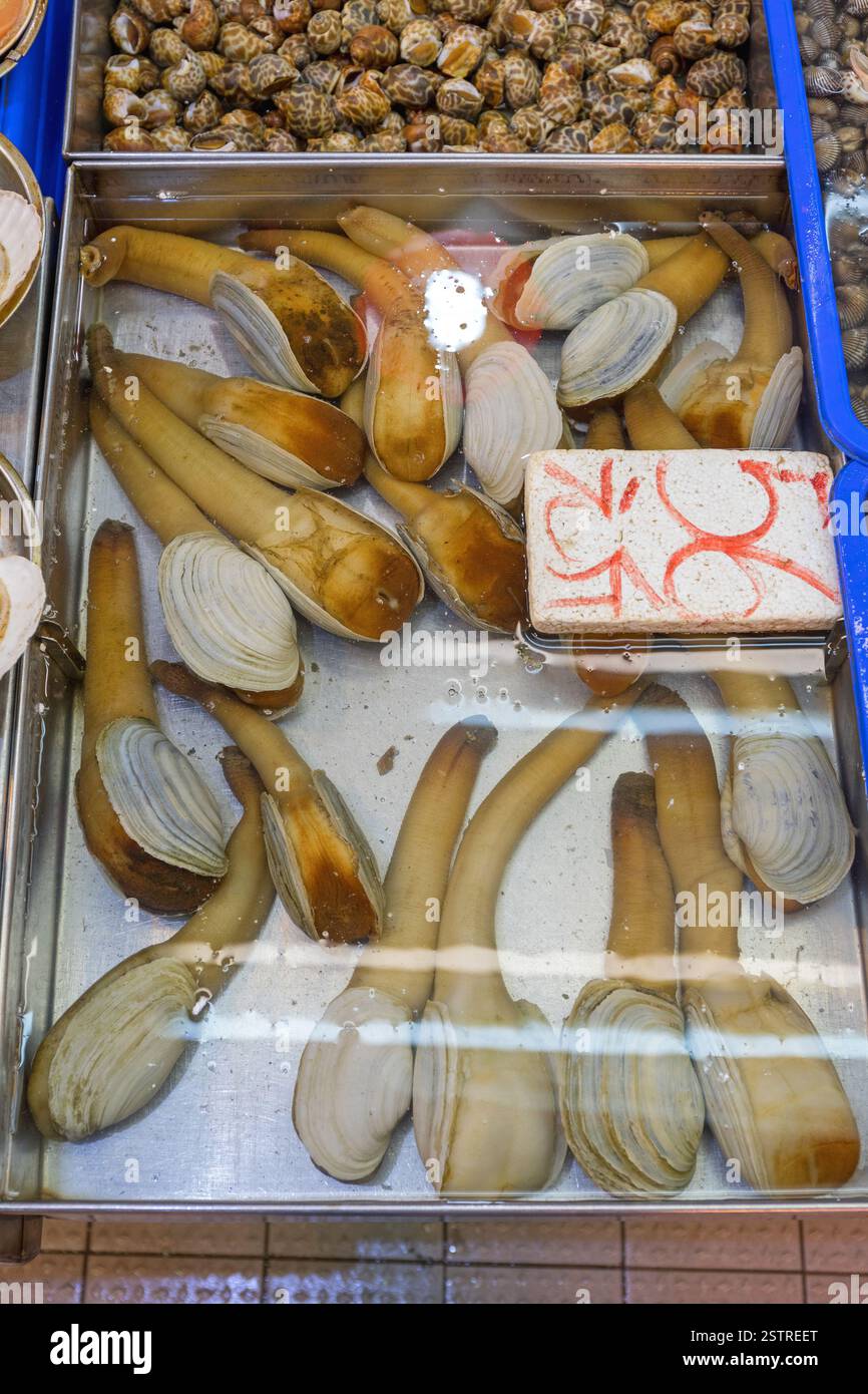 Clams in water hi-res stock photography and images - Alamy