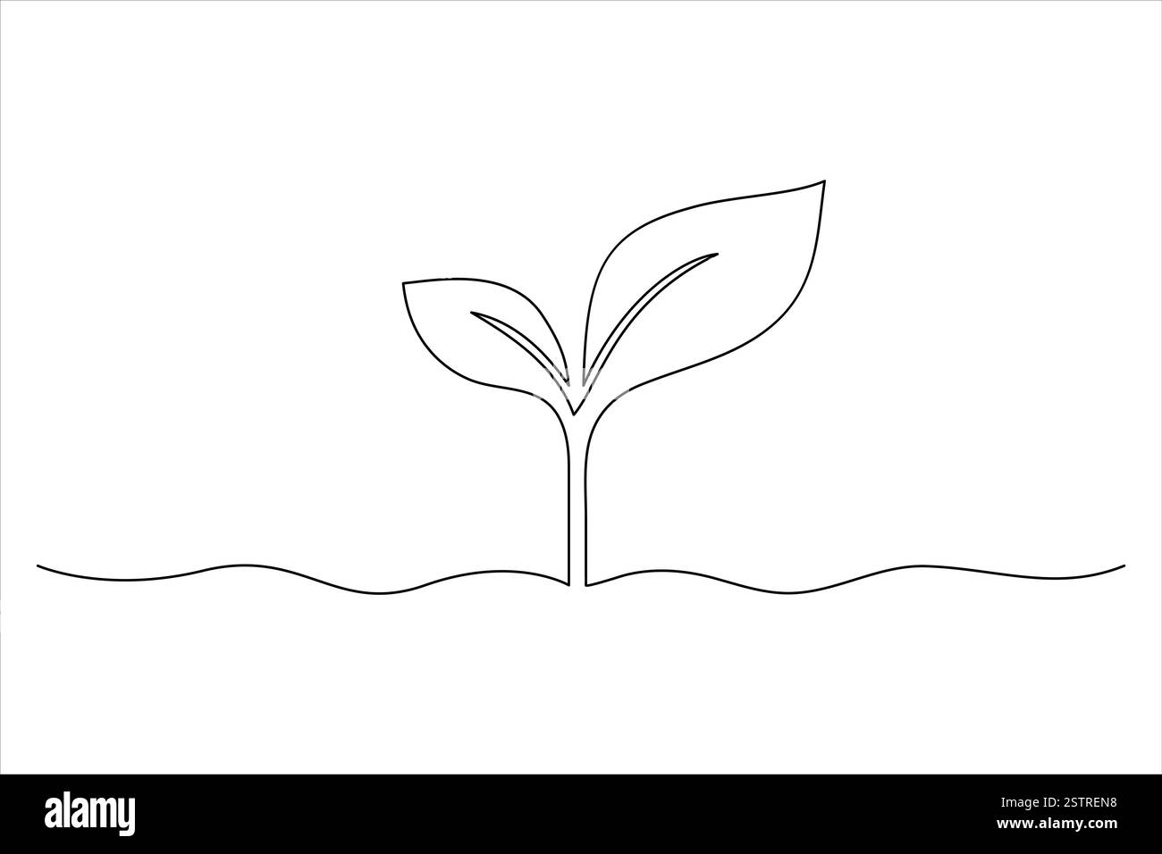 Continuous one line drawing of plant growth processing from seed ...