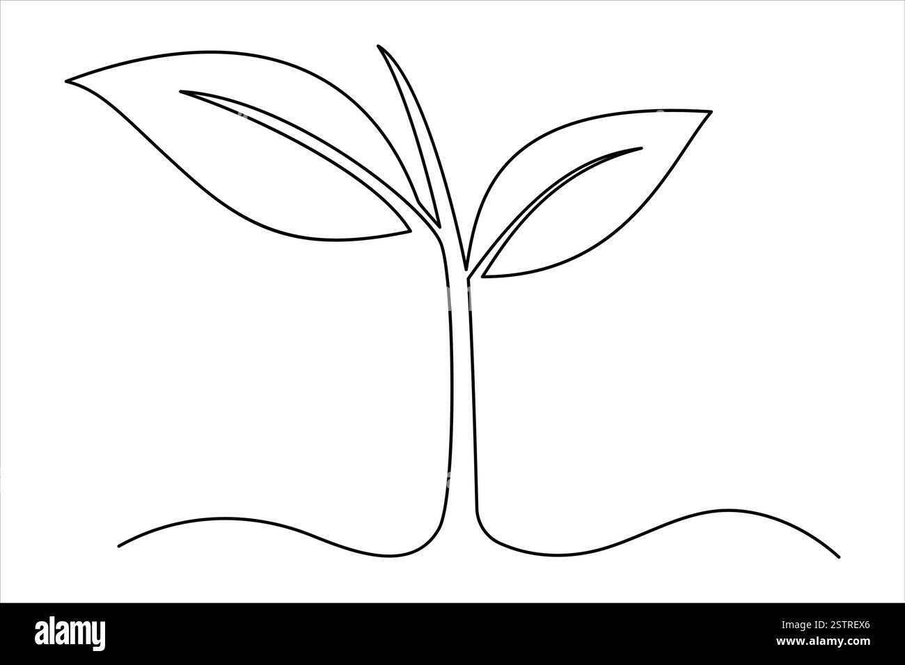 Continuous one line drawing of plant growth processing from seed ...
