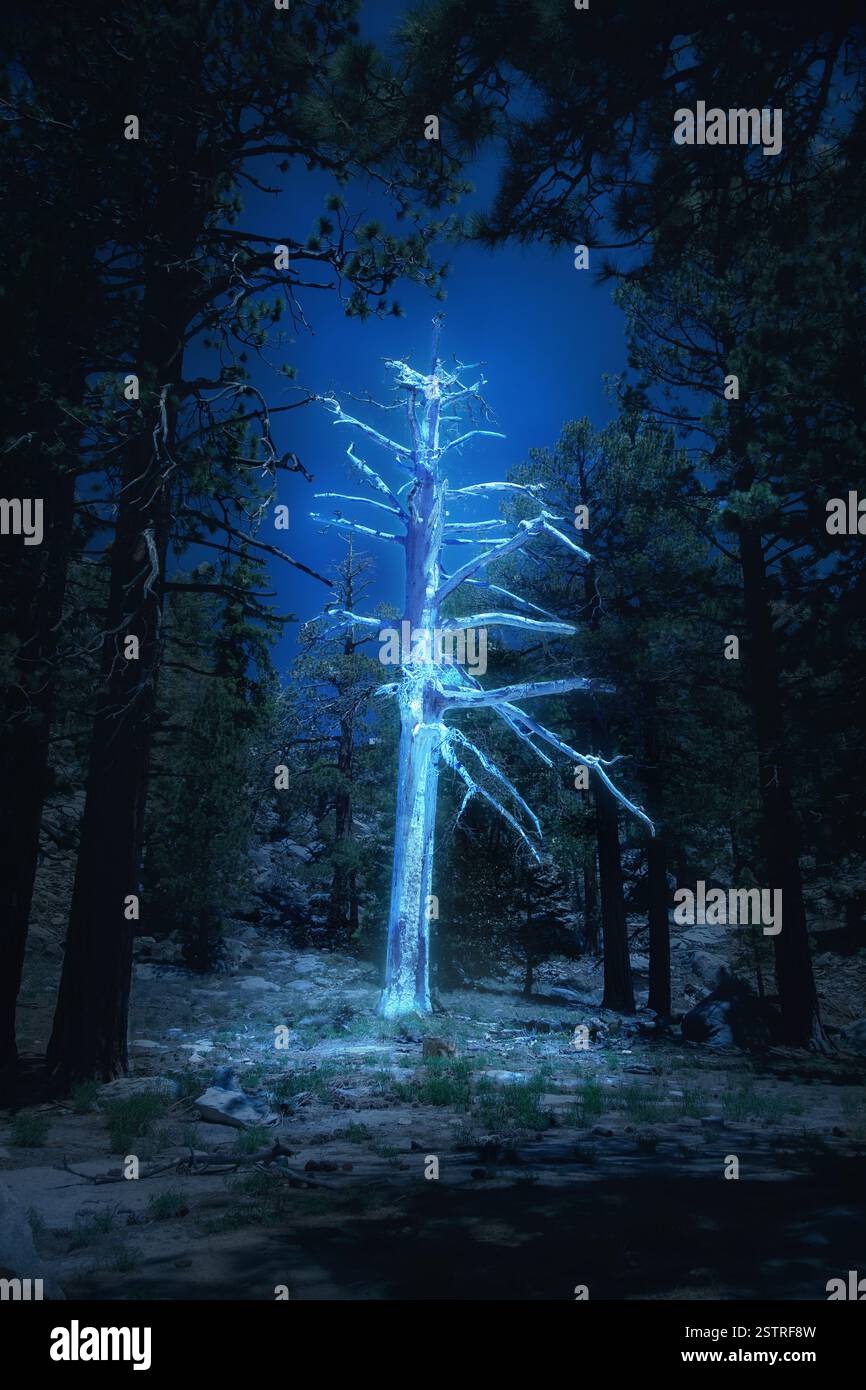 Composite image. Lifeless tree glowing with eerie blue energy in dark ...