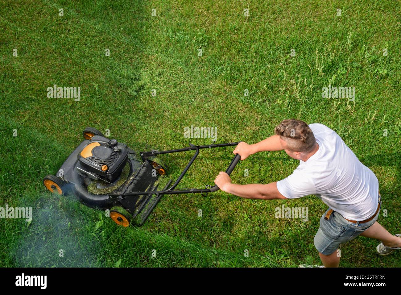Top down view of a man mowing green grass lawn Stock Photo - Alamy