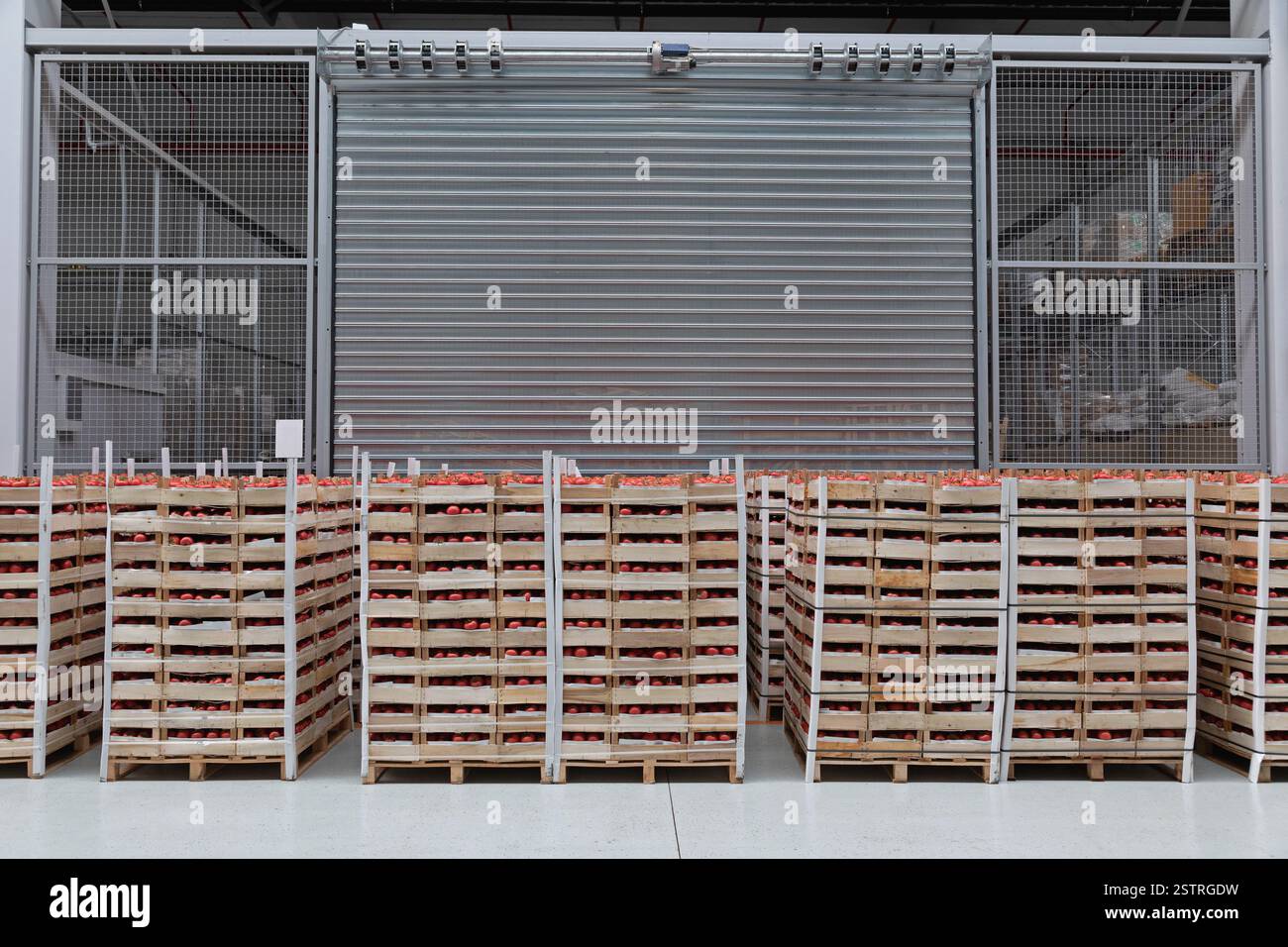 Tomato Crates Storage Stock Photo - Alamy