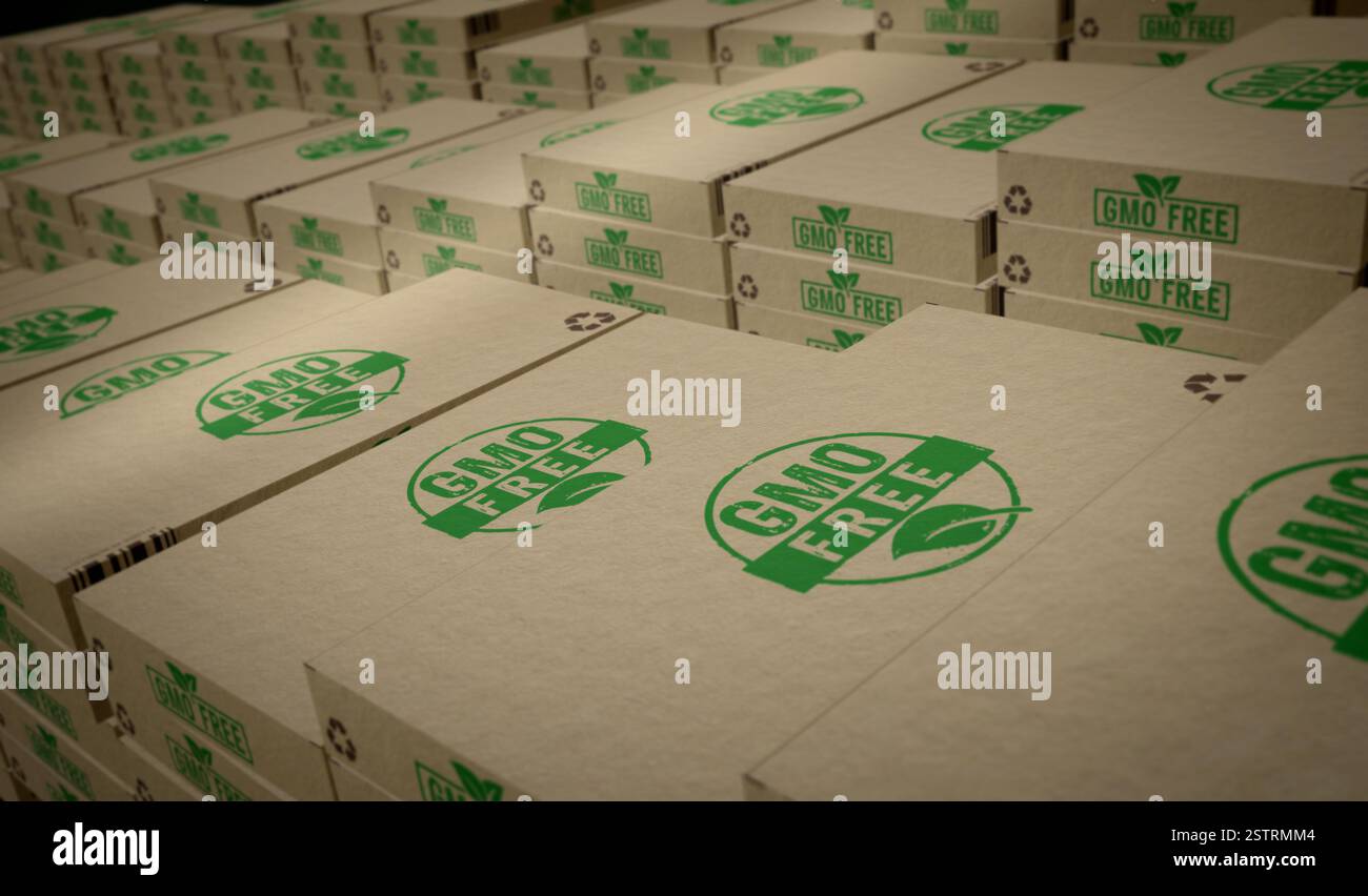 GMO free healthy diet box production line. Non GMO modified cardboard ...