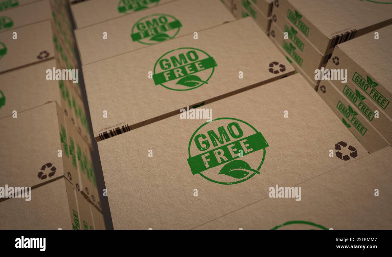 GMO free healthy diet box production line. Non GMO modified cardboard ...