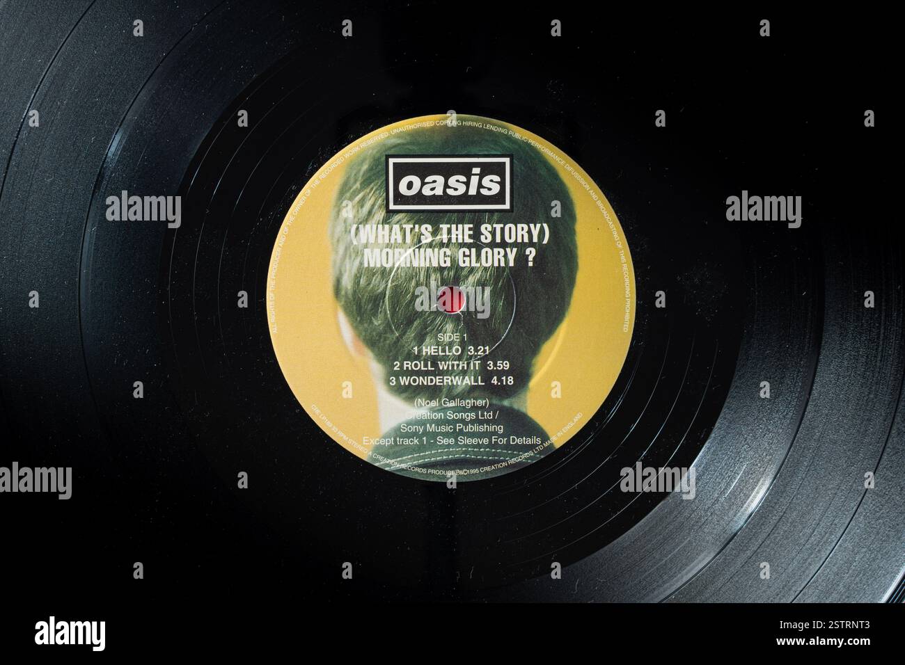 What's the story morning glory oasis hi-res stock photography and ...