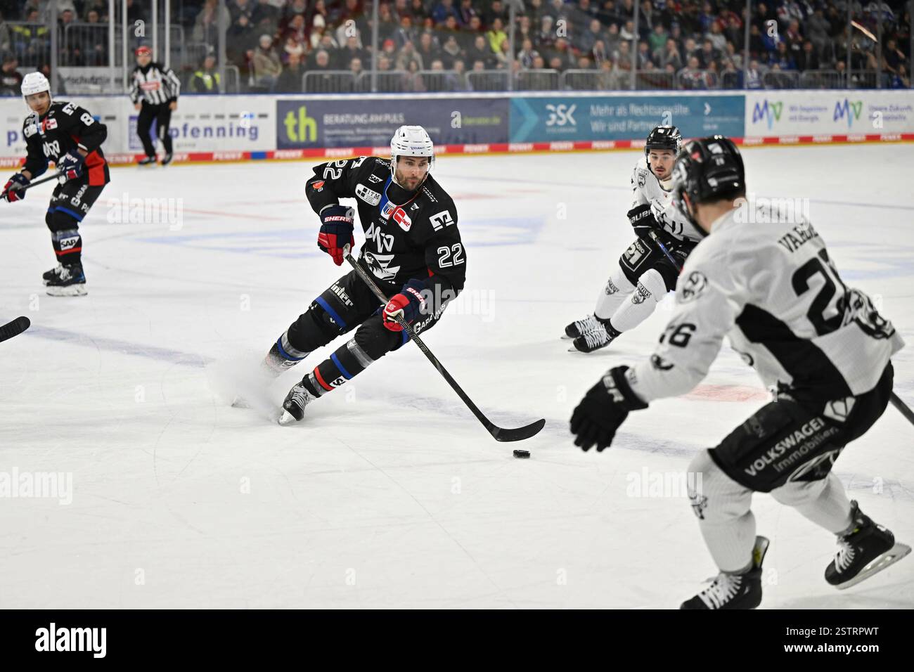 Mannheim, Deutschland. 19th Feb, 2025. Matthias Plachta Adler Mannheim ...