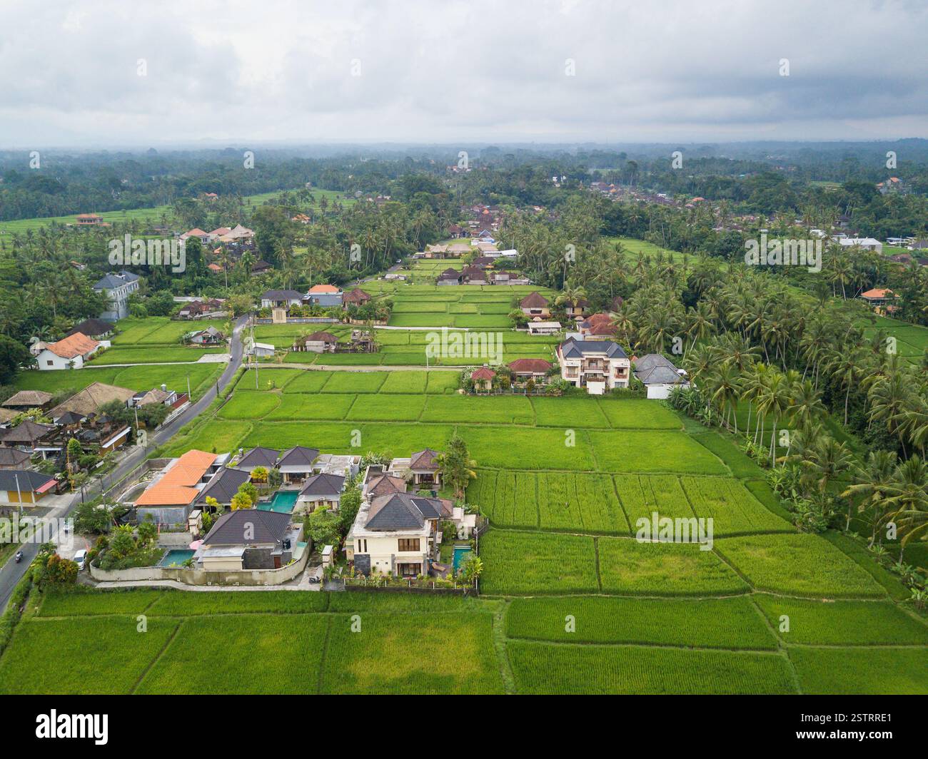 Balinese countryside hi-res stock photography and images - Alamy