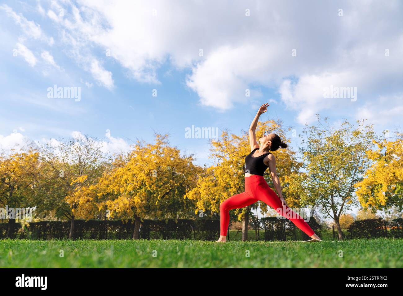 Graceful yoga hi-res stock photography and images - Alamy